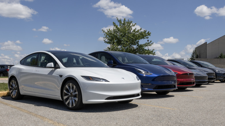 Tesla Color Guide: Paint Codes, Finish Types, And How Much They Cost