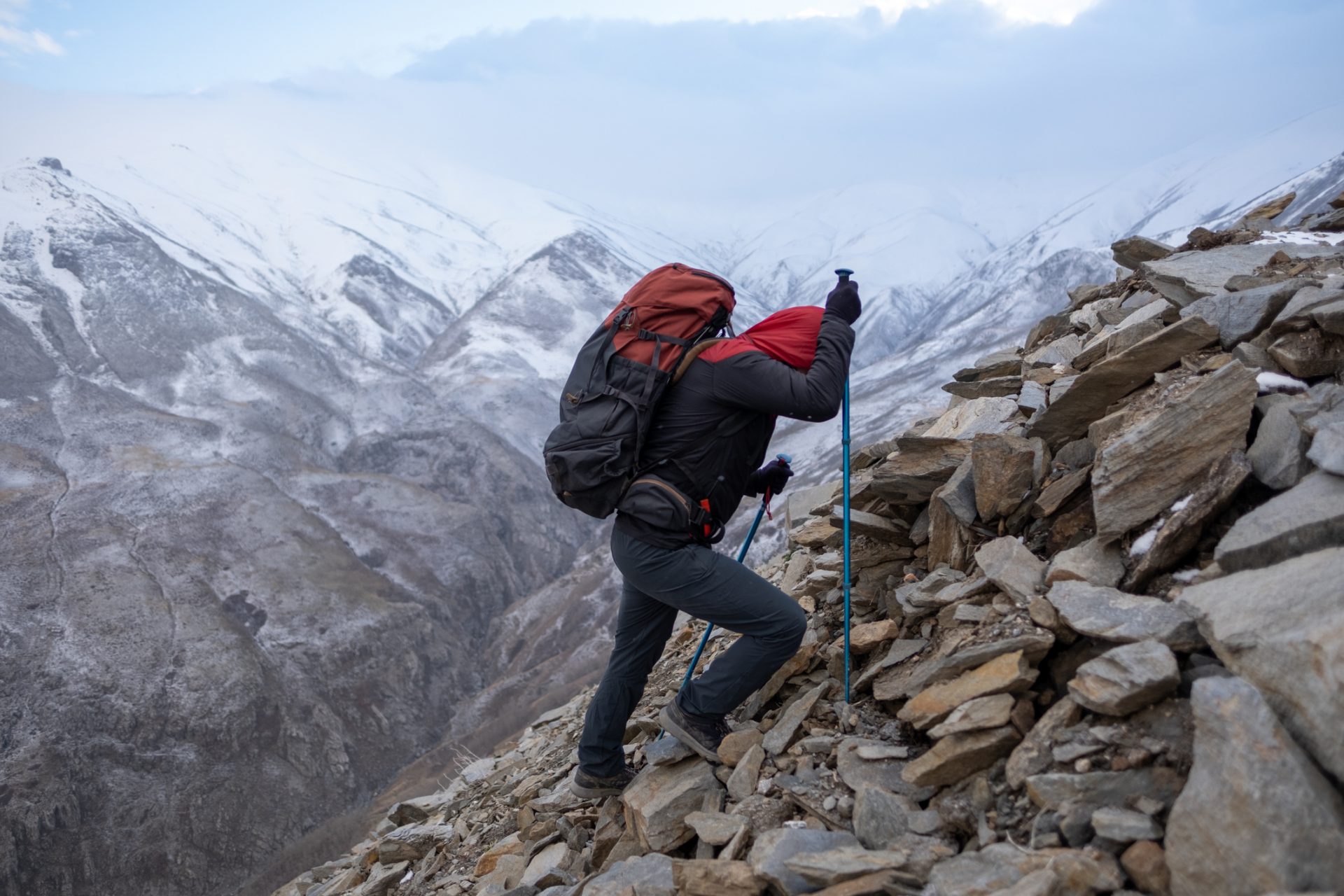 New Research offers unexpected clues about modern evolutionary changes