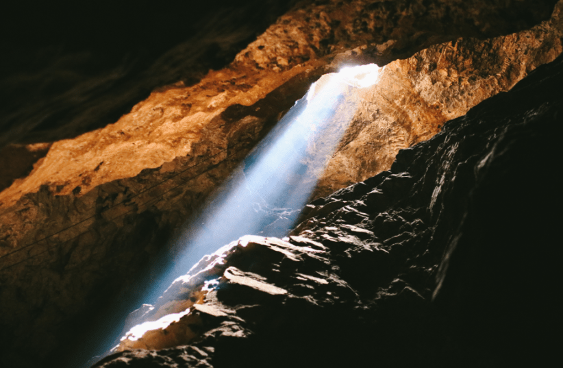 Ancient proteins reveal male Australopithecus africanus, oldest hominin ...