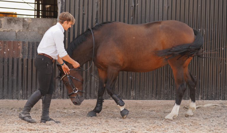 Liberty horse training: Ben Atkinson explains how to get started at home
