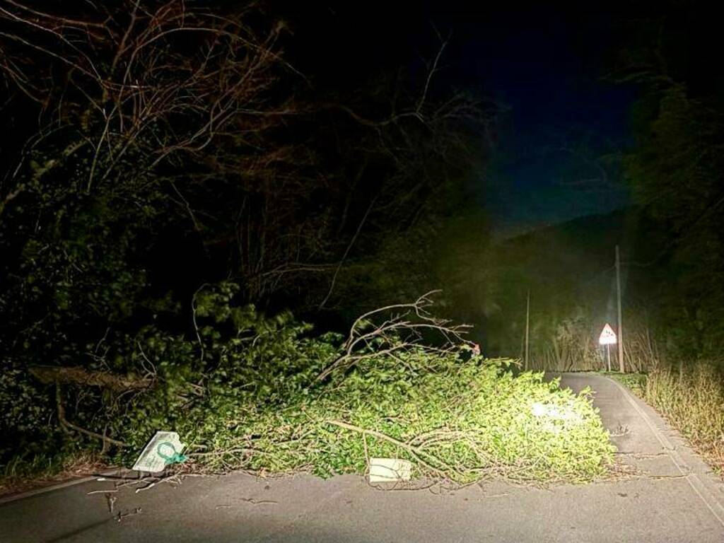 Albero pericolante sulla statale 45, chiusa la strada a Bargagli