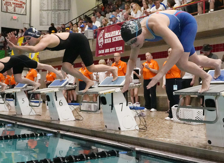 OHSAA swimming | 'The journey was amazing': Akron-area swimmers wrap ...