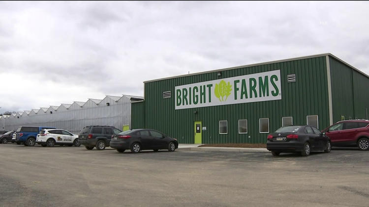 BrightFarms Selinsgrove branch expected to close in March