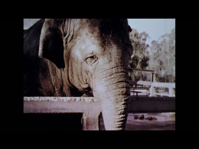 Gulliver's Travels: Exploring Jonathan Swift's Physics & Bone Strength