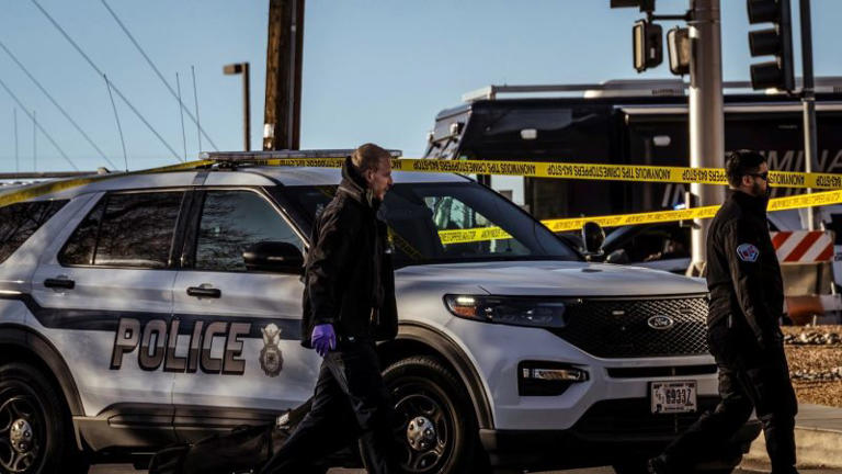 Researchers discover new species of sunflower dubbed the 'wooly devil ...