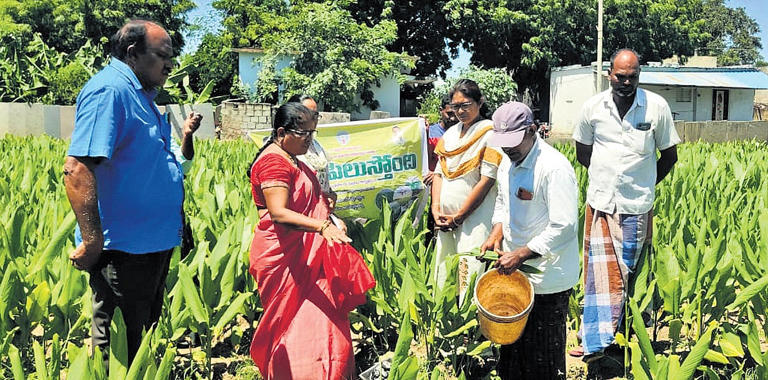 Nature-friendly farming brings prosperity to Andhra farmer