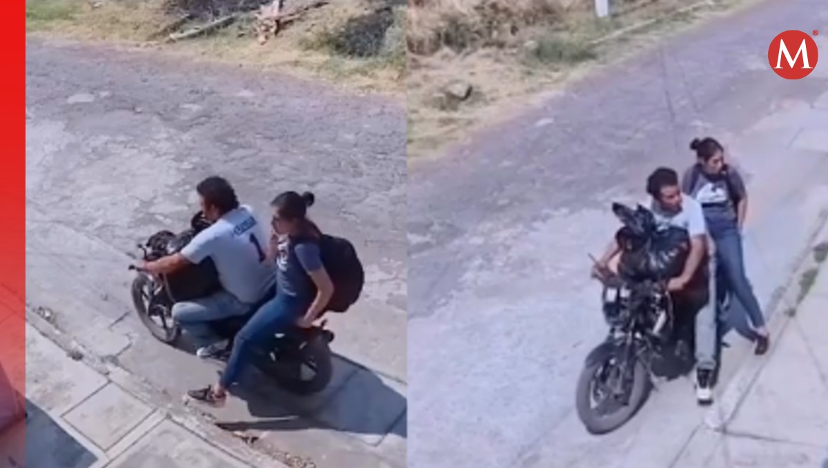 Captan a pareja robando comida a perritos de la calle; redes exigen ...