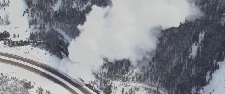 Here’s how to stay safe in avalanche country, according to experts