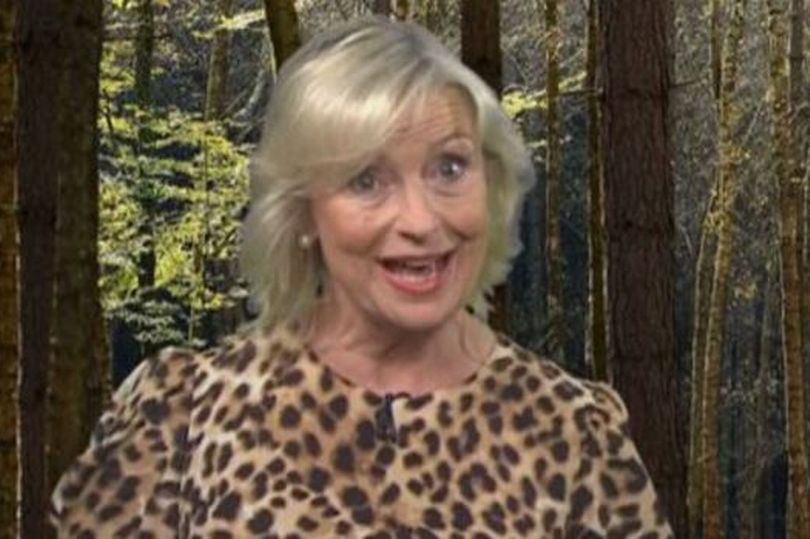 BBC Breakfast's Carol Kirkwood's life off-screen from heartache to ...