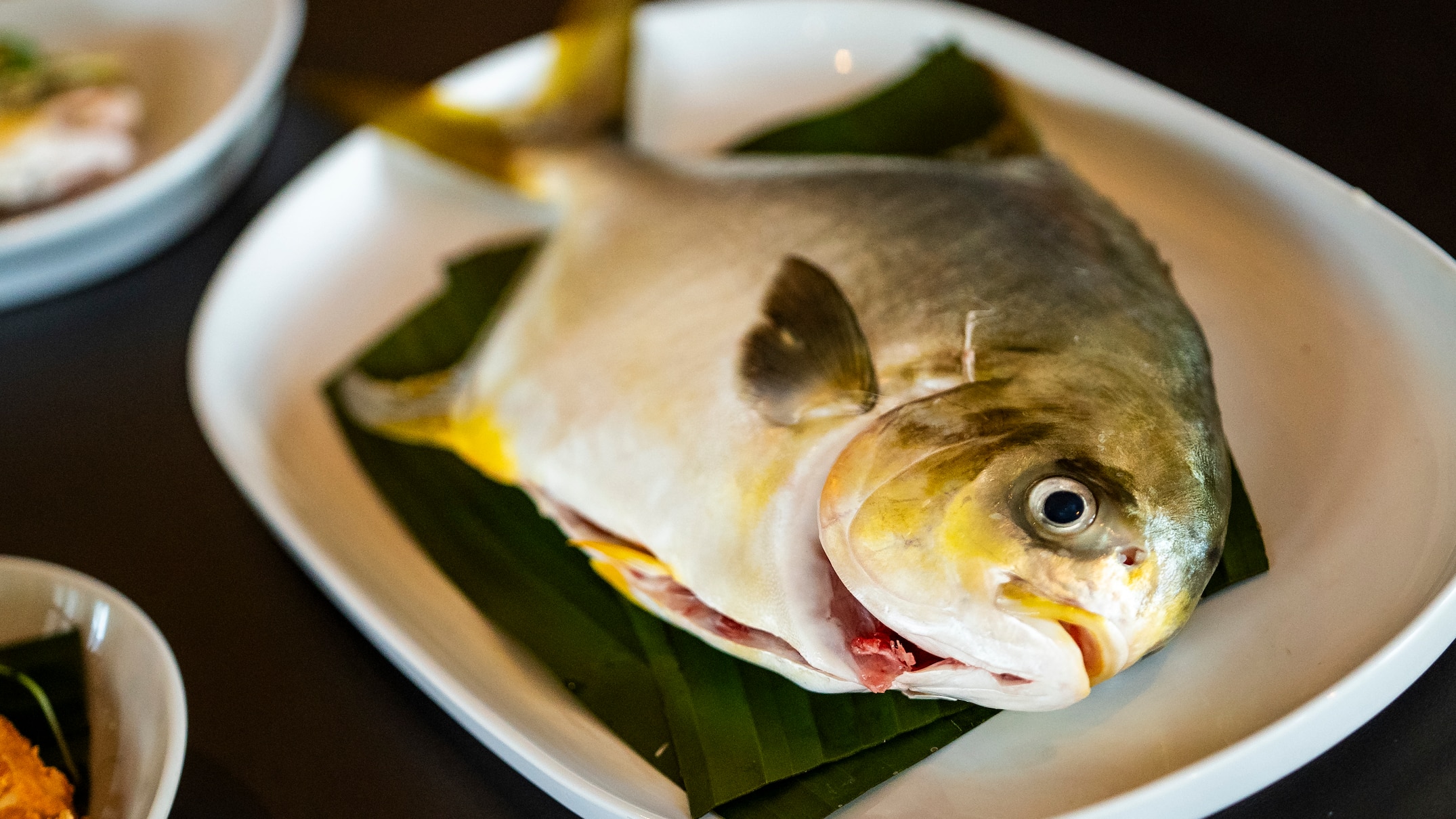 Australian scientists hope to transform seafood industry with new fish ...