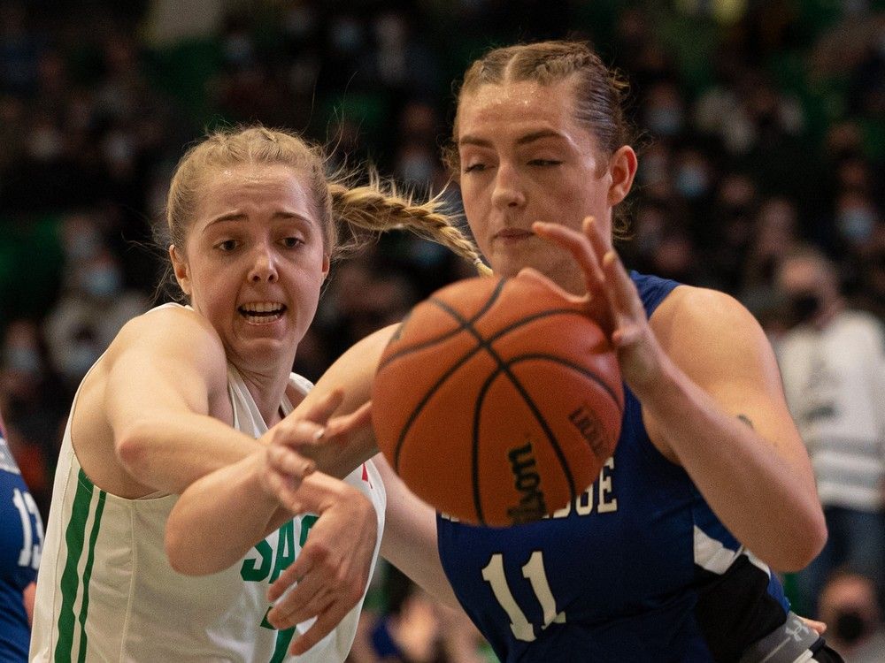 Great Defender: 2020 Bronze Baby holdover Andrea Dodig leads Huskies to ...