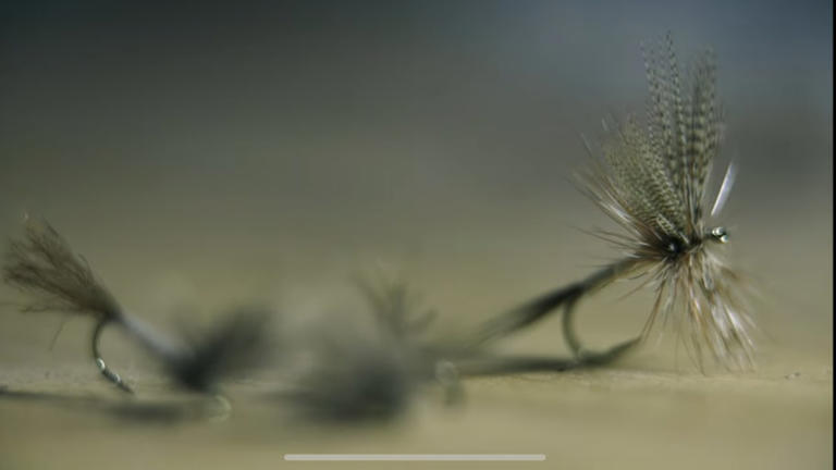 The Dry Fly: A Beginner Trout Angler’s Best Friend