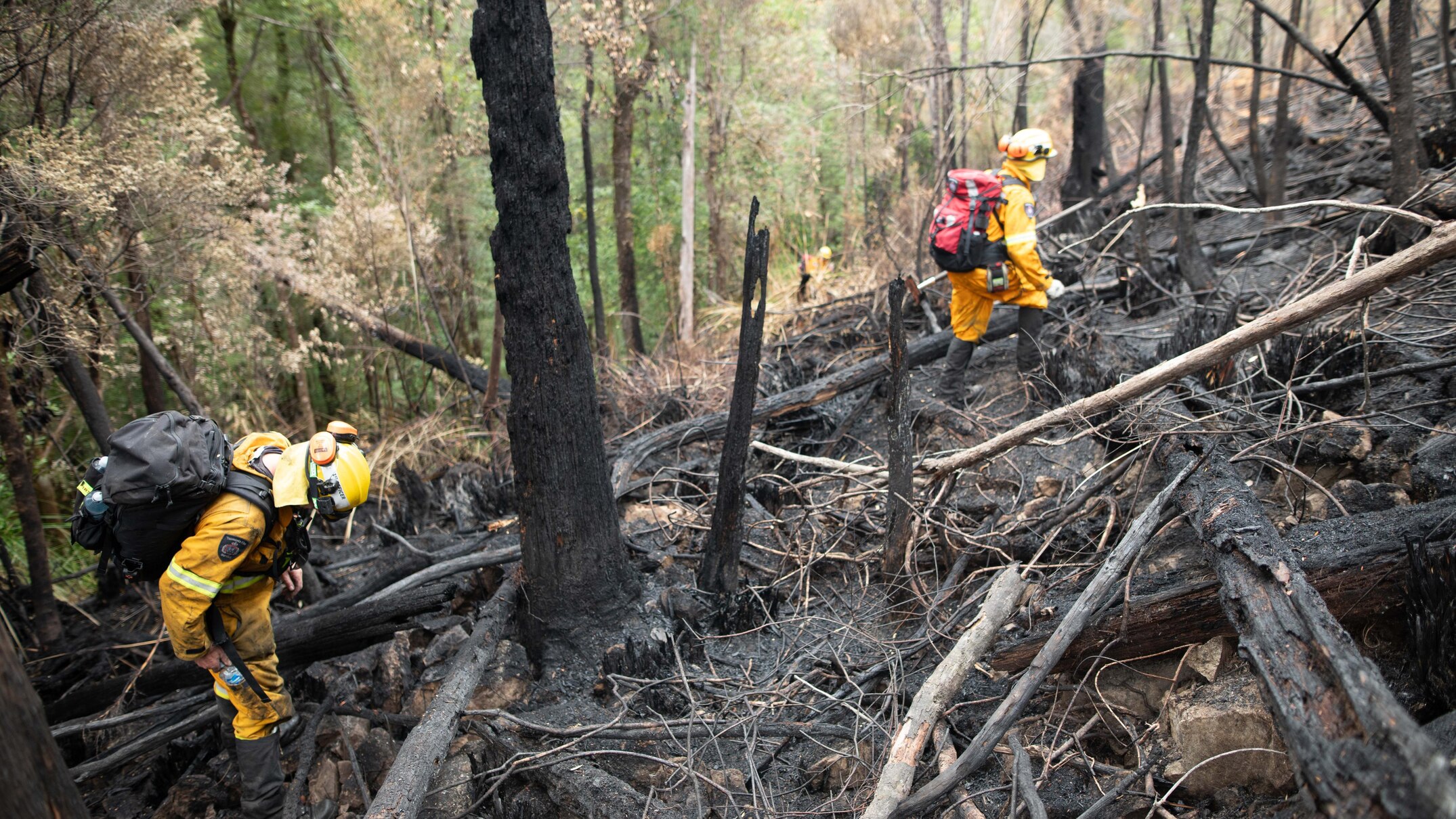 Total fire ban in place as Tasmanian bushfires enter third week