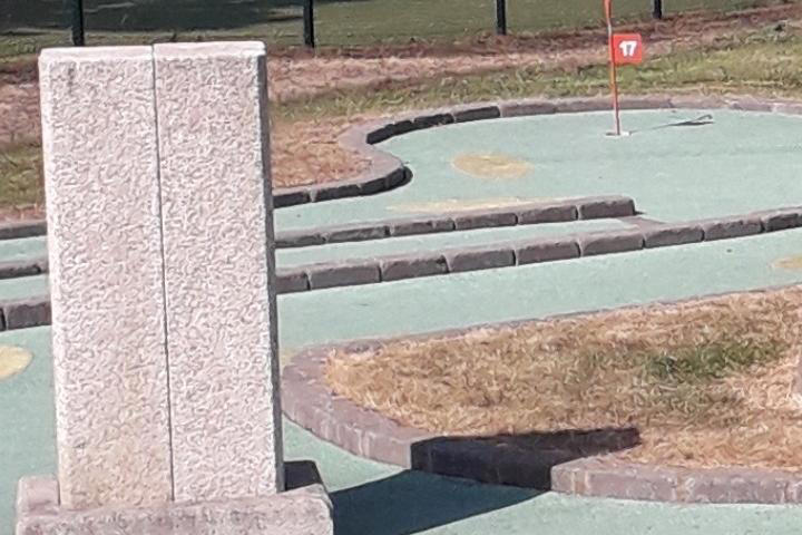 Whitehead: council in talks with interested party over proposed leasing ...