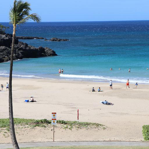 Waimea man, 81, found dead in possible drowning