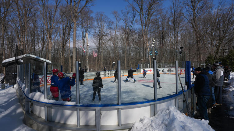 Patinoire de rêve : un couple construit une patinoire digne de la LNH ...