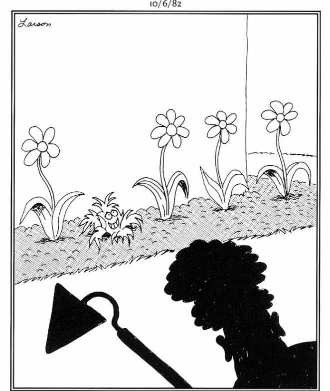 The 15 Deepest The Far Side Comics