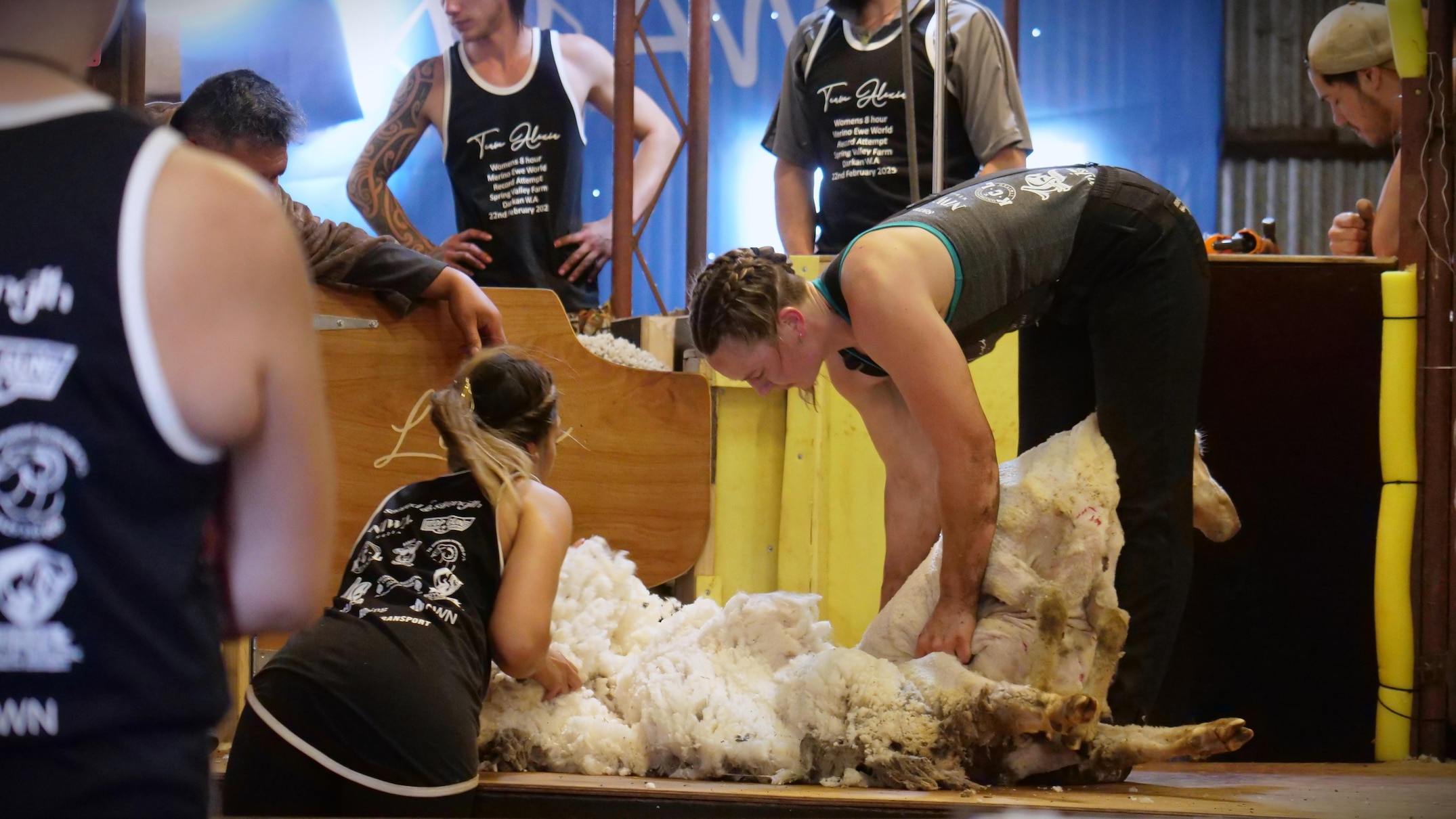 New Zealander breaks female shearing world record in WA town of Darkan