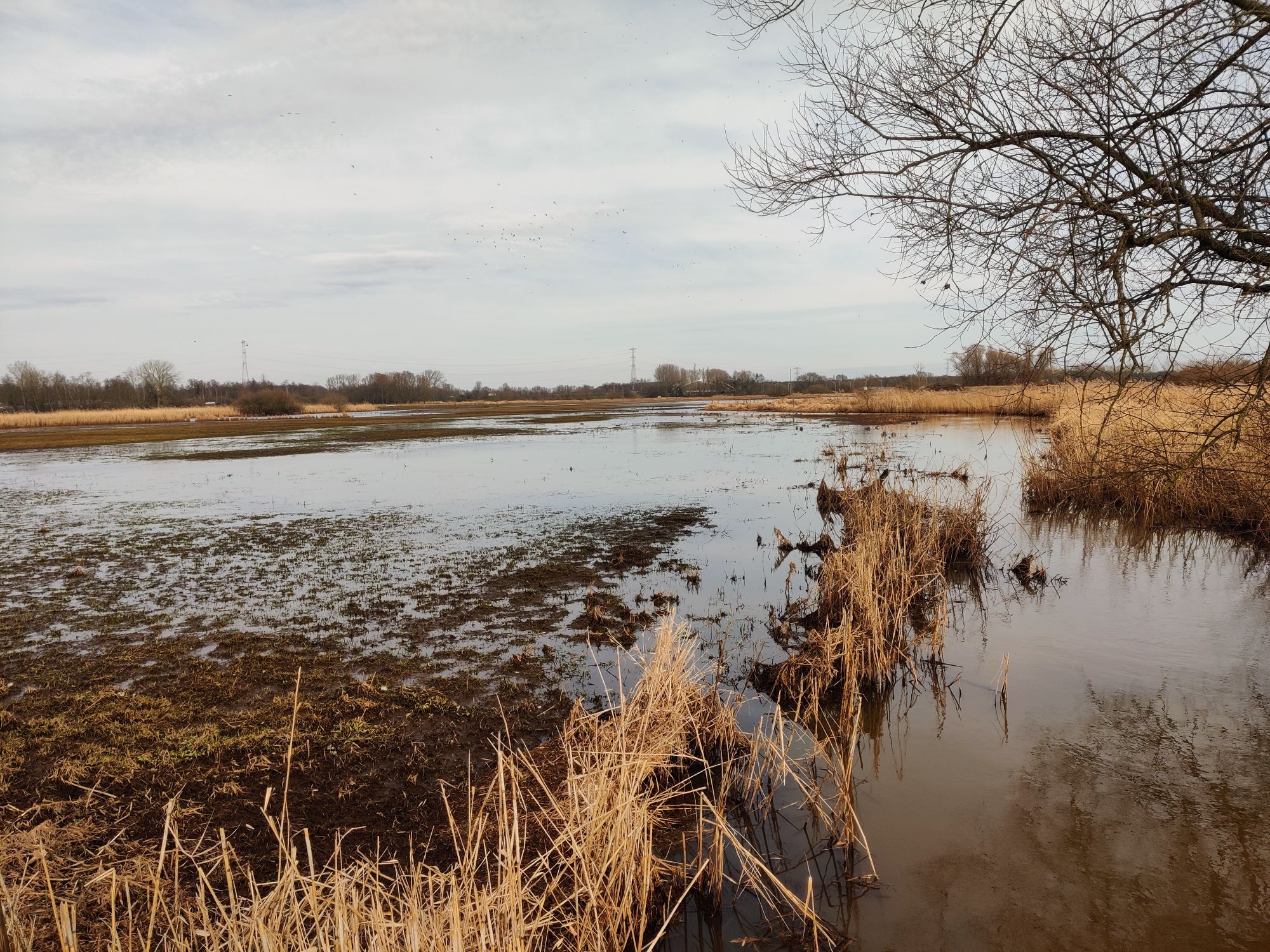 Weerman Samuel: "Eerder herfstachtig komende dagen, lokaal veel regen"