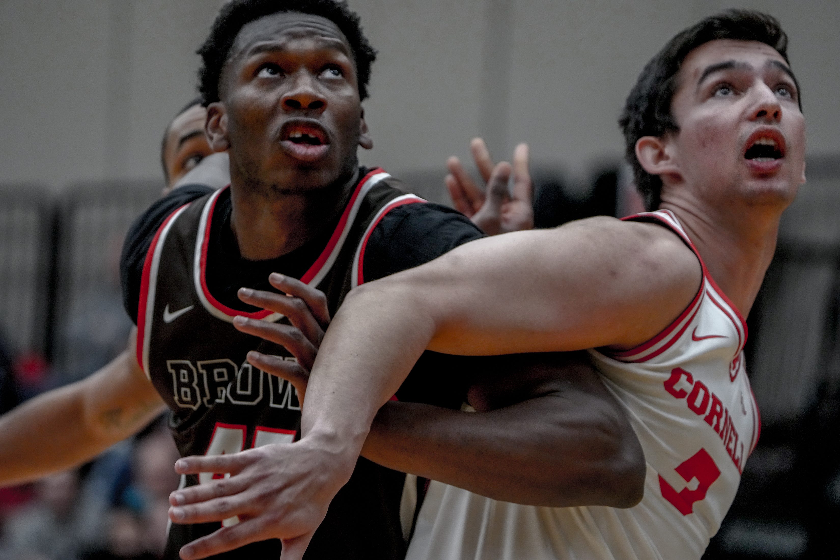 Brown men's basketball falters down the stretch. Which Ivy League ...