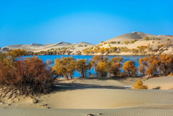 China just turned its biggest desert into a giant forest – DESERTIFICATION