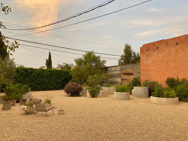 Quick Takes With: Rozae Nichols