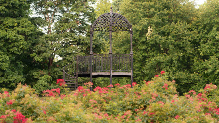 One Of America's Largest Public Rose Gardens Is A Free Floral Park In ...