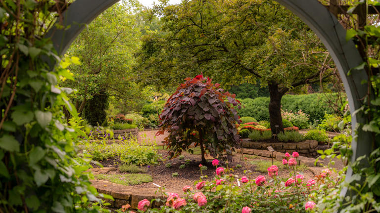 One Of America's Largest Public Rose Gardens Is A Free Floral Park In ...
