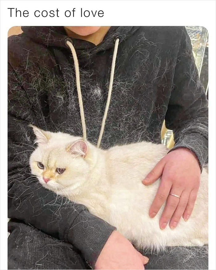 33 chucklesome memes shared by a Facebook page called “Cheerful Nihilism”