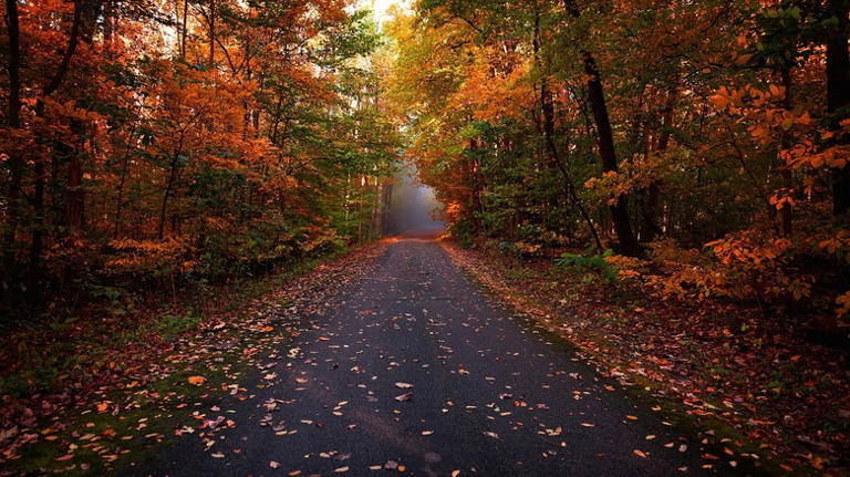 Indiana's Highest Point Is A Surprisingly Easy Hike In A Secluded ...