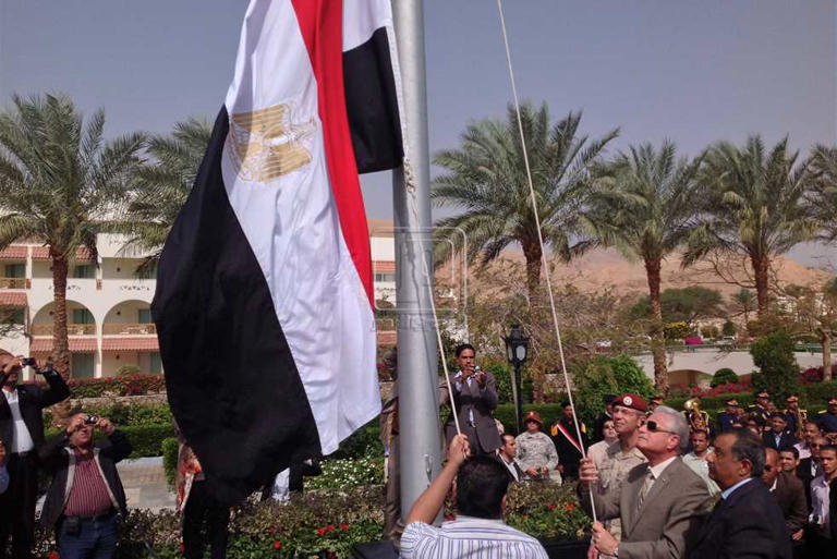 «شجرة دوم».. القصة الكاملة لصورة استخدمتها مصر في استرداد طابا (تعرف عليها)