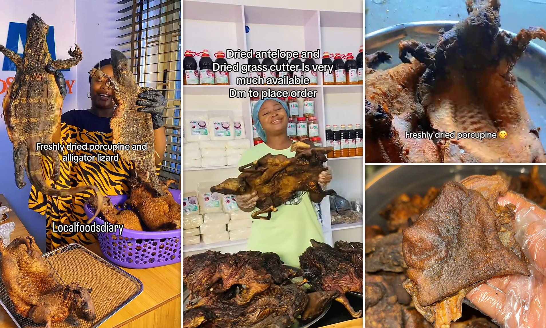 Ebola alert as lizard and porcupine meat sent to online Brit shoppers