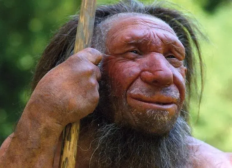 New fossil and DNA evidence reveals significant Neanderthal diversity