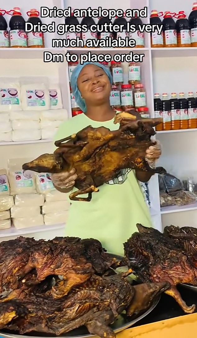 Ebola alert as lizard and porcupine meat sent to online Brit shoppers