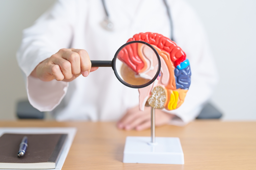 Scientists Reveal Brain Changes That Could Predict Dementia in Your 40s
