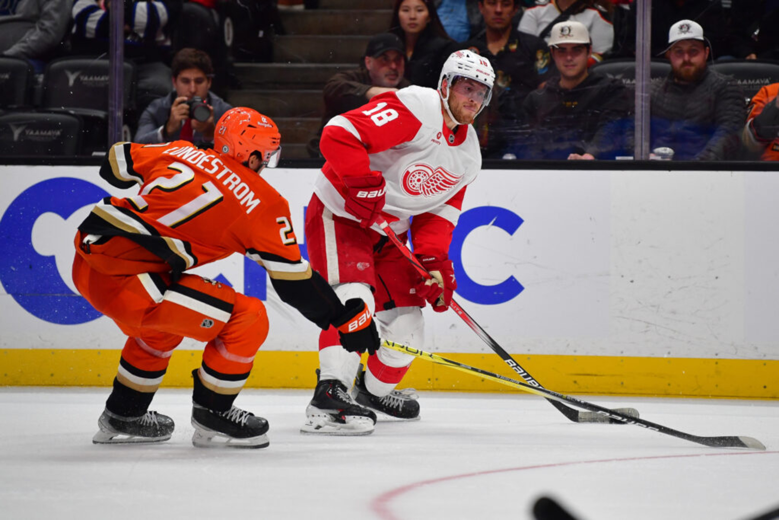 NHL Predictions: February 23 Anaheim Ducks vs Detroit Red Wings