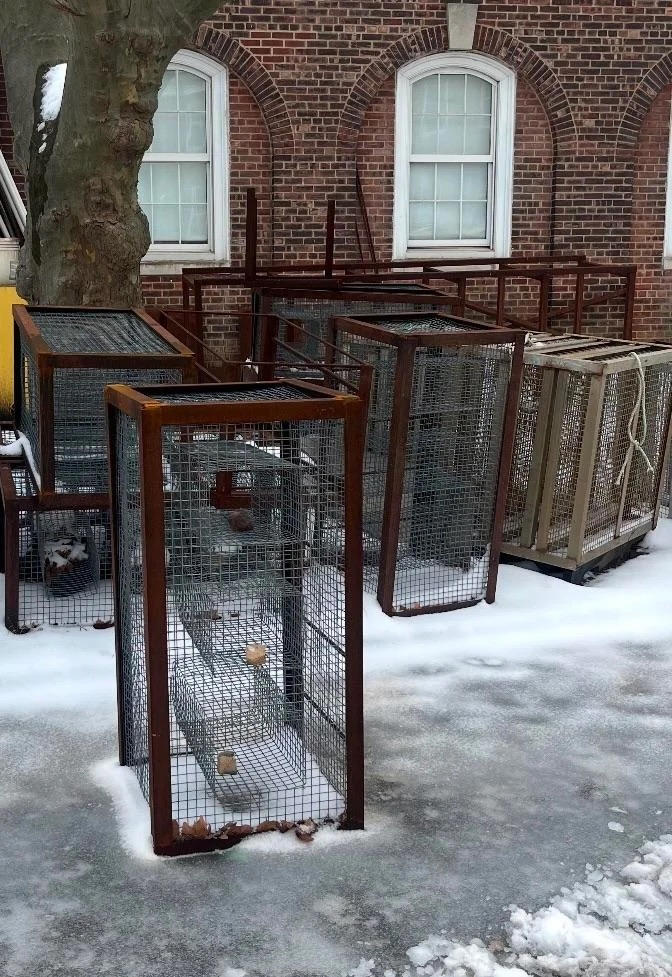 63 of the weirdest objects people found in 2025 that they needed the ...