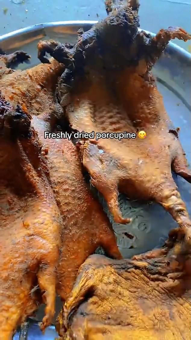 Ebola alert as lizard and porcupine meat sent to online Brit shoppers