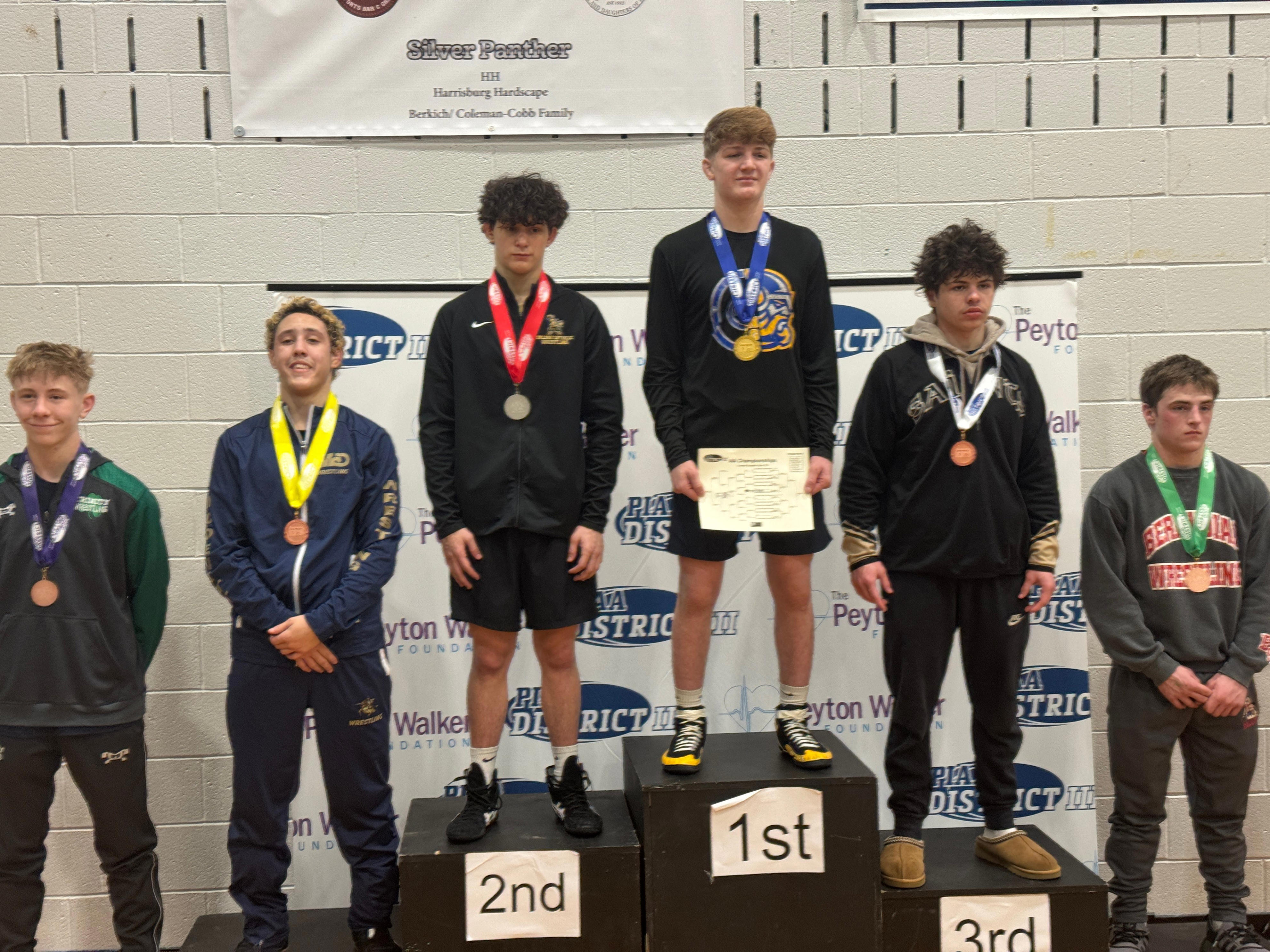 District 3 wrestling: Northern Lebanon's Aaron Seidel wins 2A Class ...