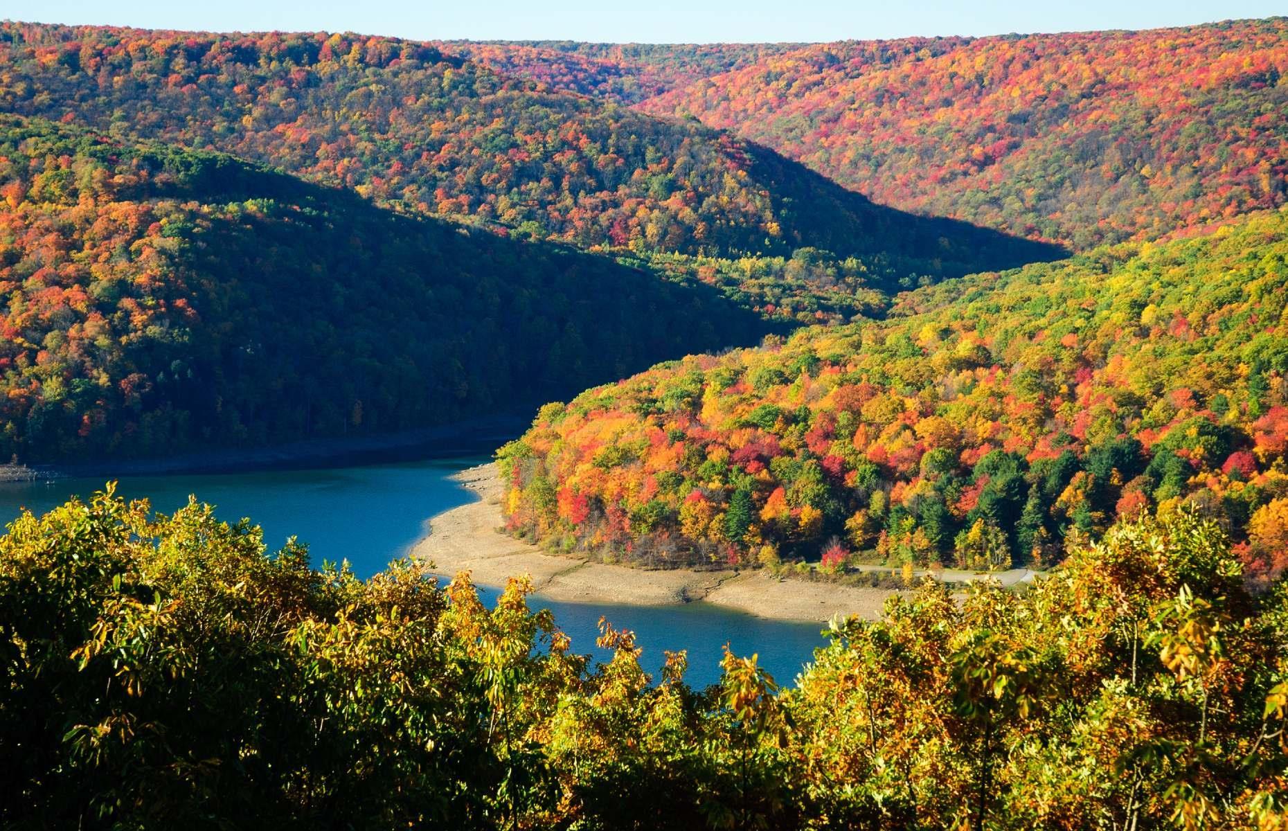 Ranked: America’s 31 Most Beautiful National Forests