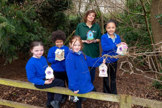 Primary school pupils build bird boxes to promote biodiversity