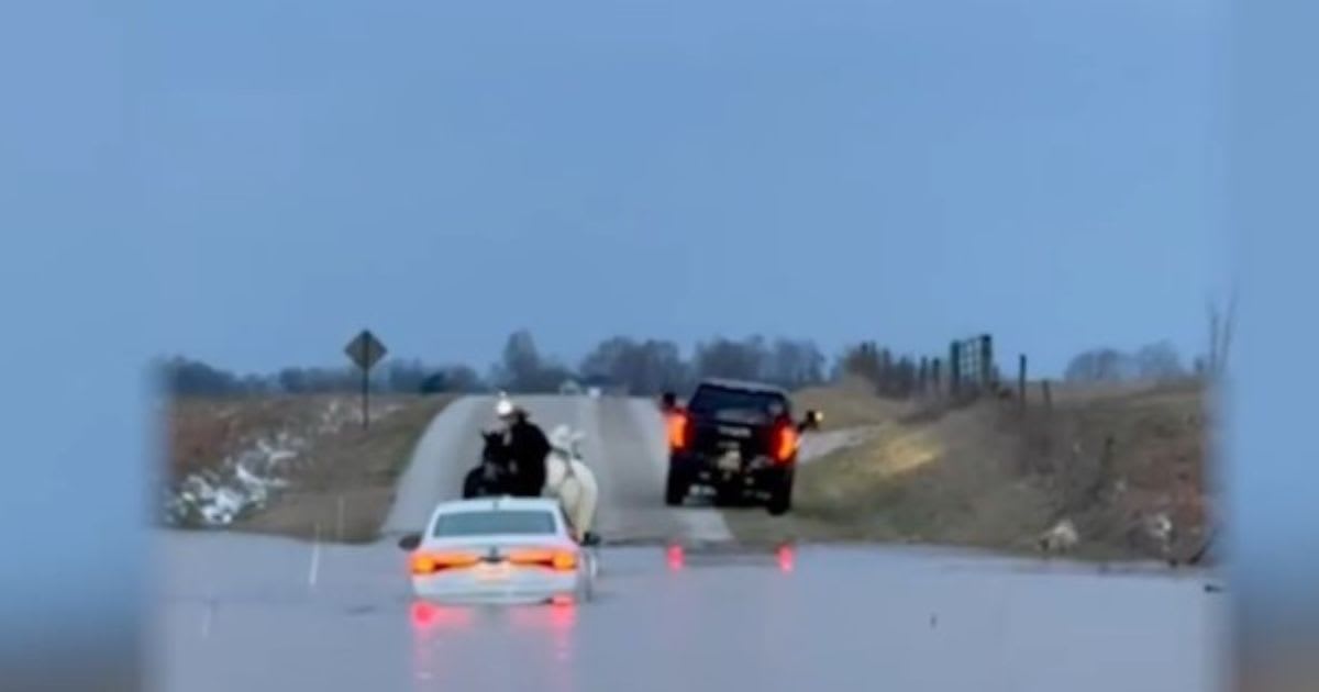 Video: Amish Man Takes Matters Into Own Hands After Finding People ...