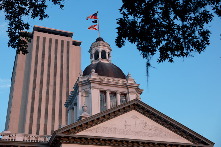 Lawmakers propose Florida's own Department of Government Efficiency
