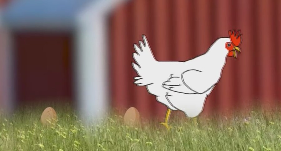 Those clucking egg prices as of 1/16/26