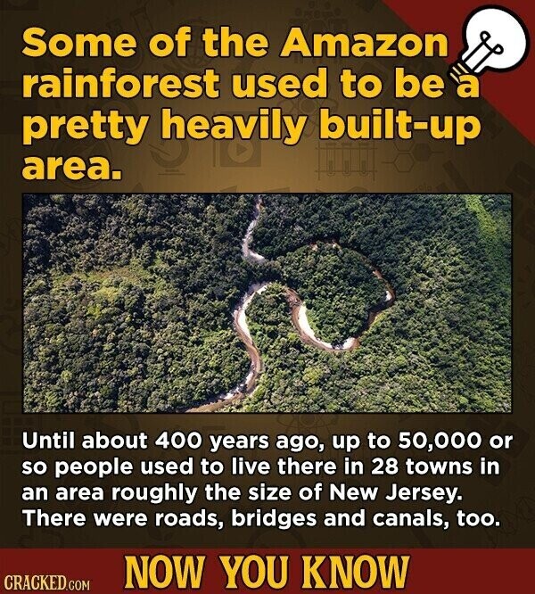 13 Fascinating Facts About The Amazon Rainforest