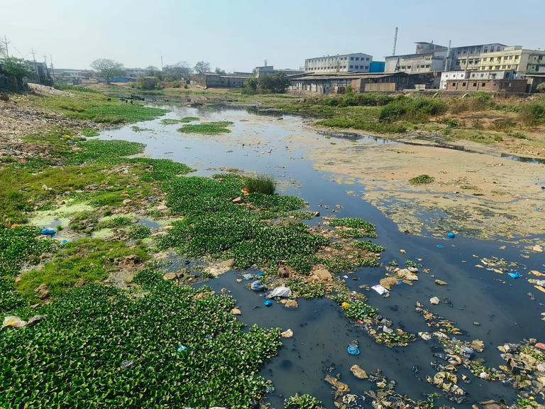 Thane: Pollution, Encroachments Turn Bhiwandi’s Kamvari River Into A Drain