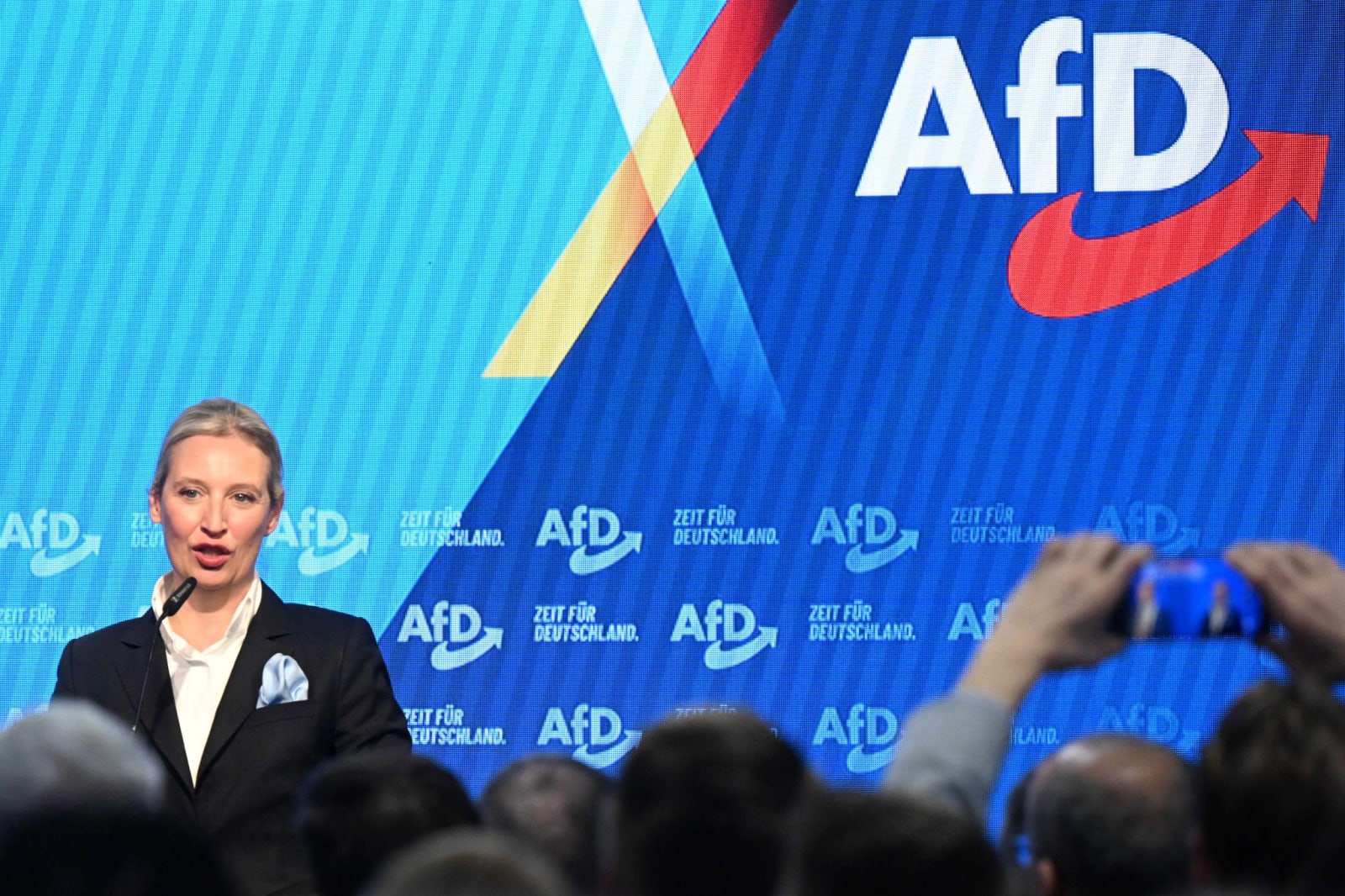 Germany's AfD after record result: We are ready to join government
