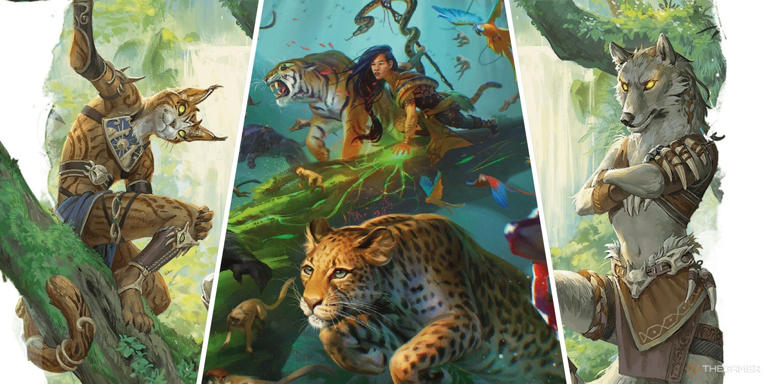 What Are Animal Lords In DND