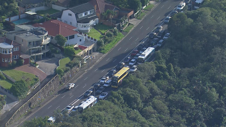 Man freed from crushed car on Sydney bridge