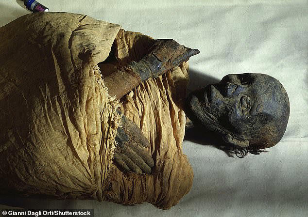 Brit who found first Pharaoh's tomb in century discovers another one